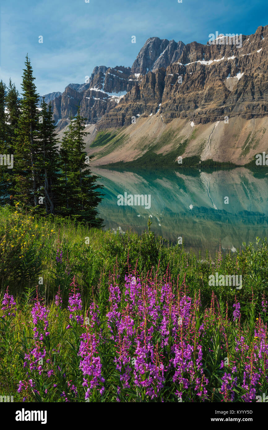 Bow lake canada hi-res stock photography and images - Alamy