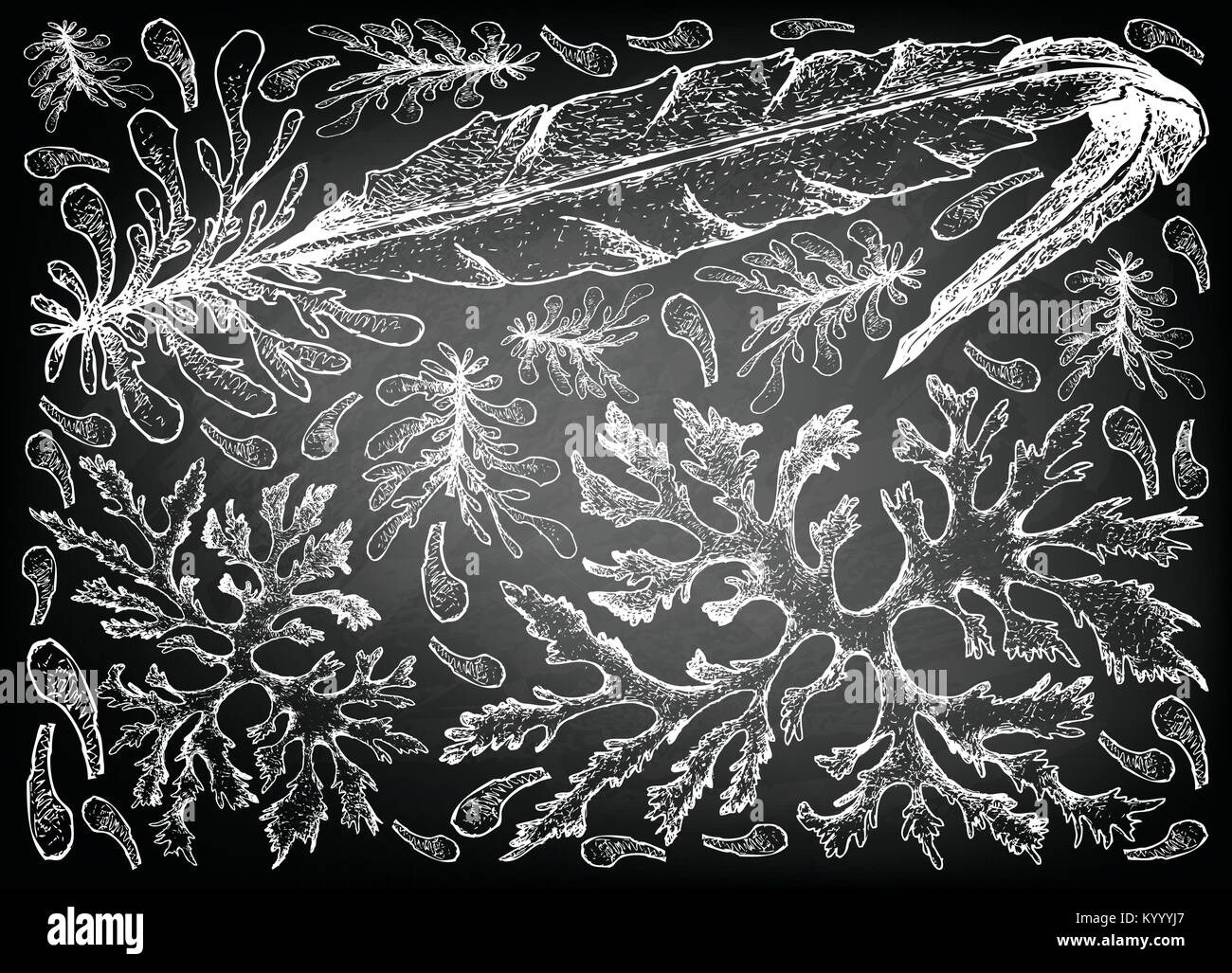 Sea Vegetables, Illustration Background of Hand Drawn Sketch ...