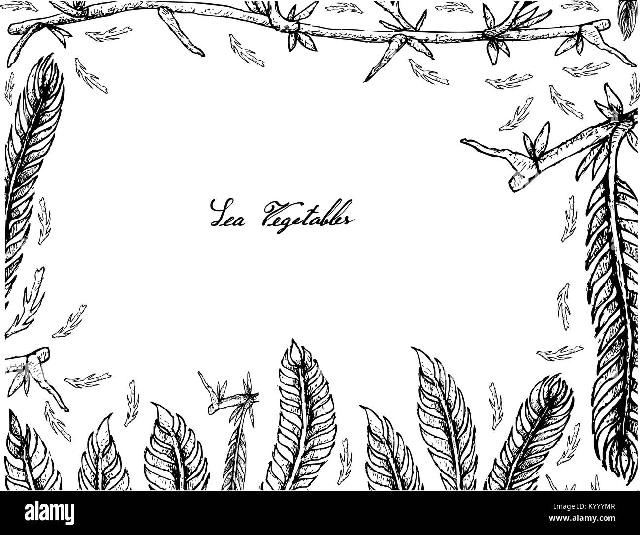 Sea Vegetables, Illustration Frame of Hand Drawn Sketch Killer Algae or ...