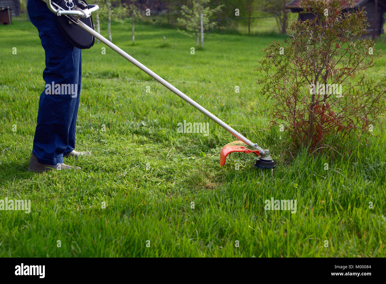 Man mowing grass with petrol weed trimmer Stock Photo - Alamy