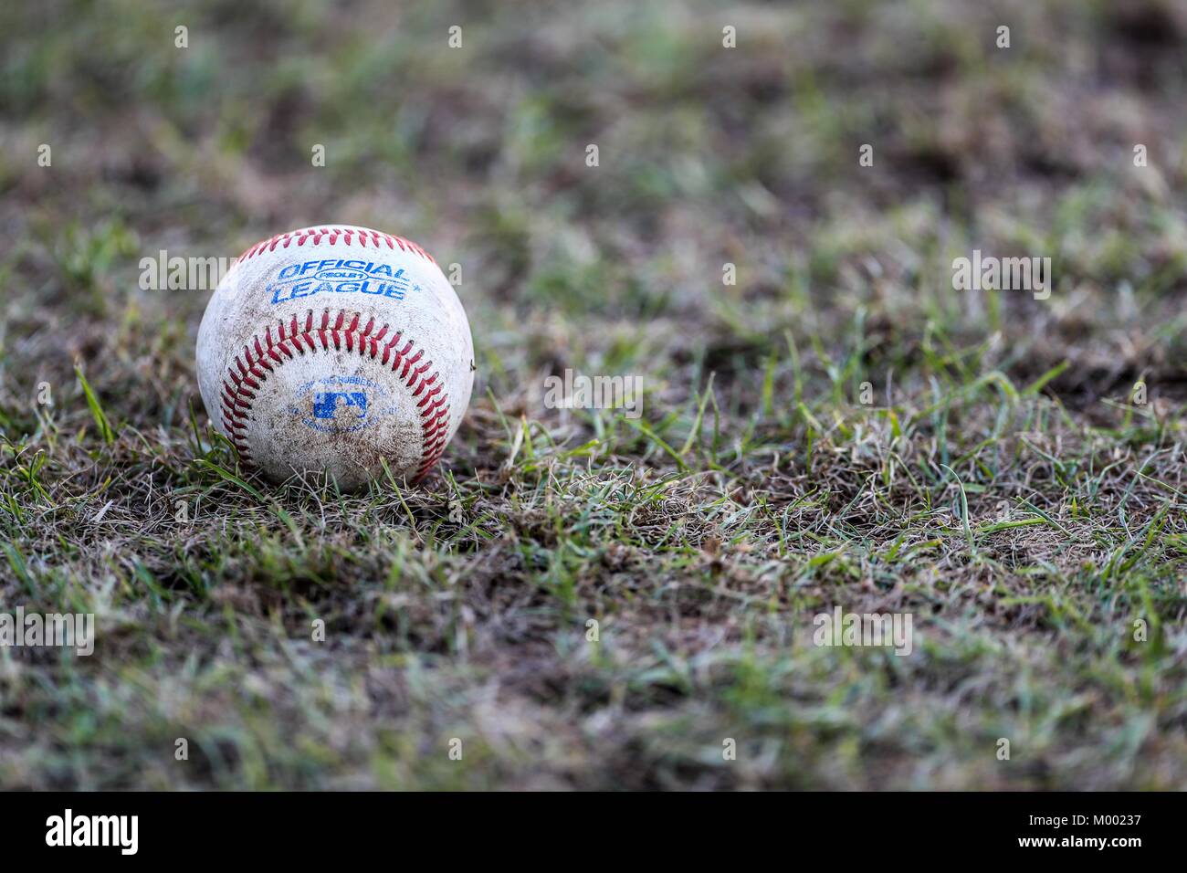 Aspectos de pelota de beisbol de la LMP ,previo partido3 de beisbol ...