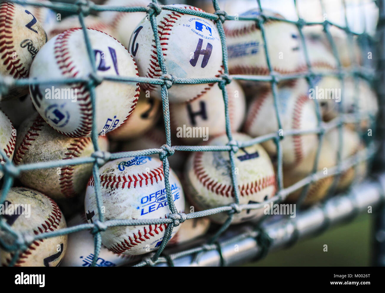 Ball, Baseball balls of Naranjeros de Hermosillo training. Marked with ...