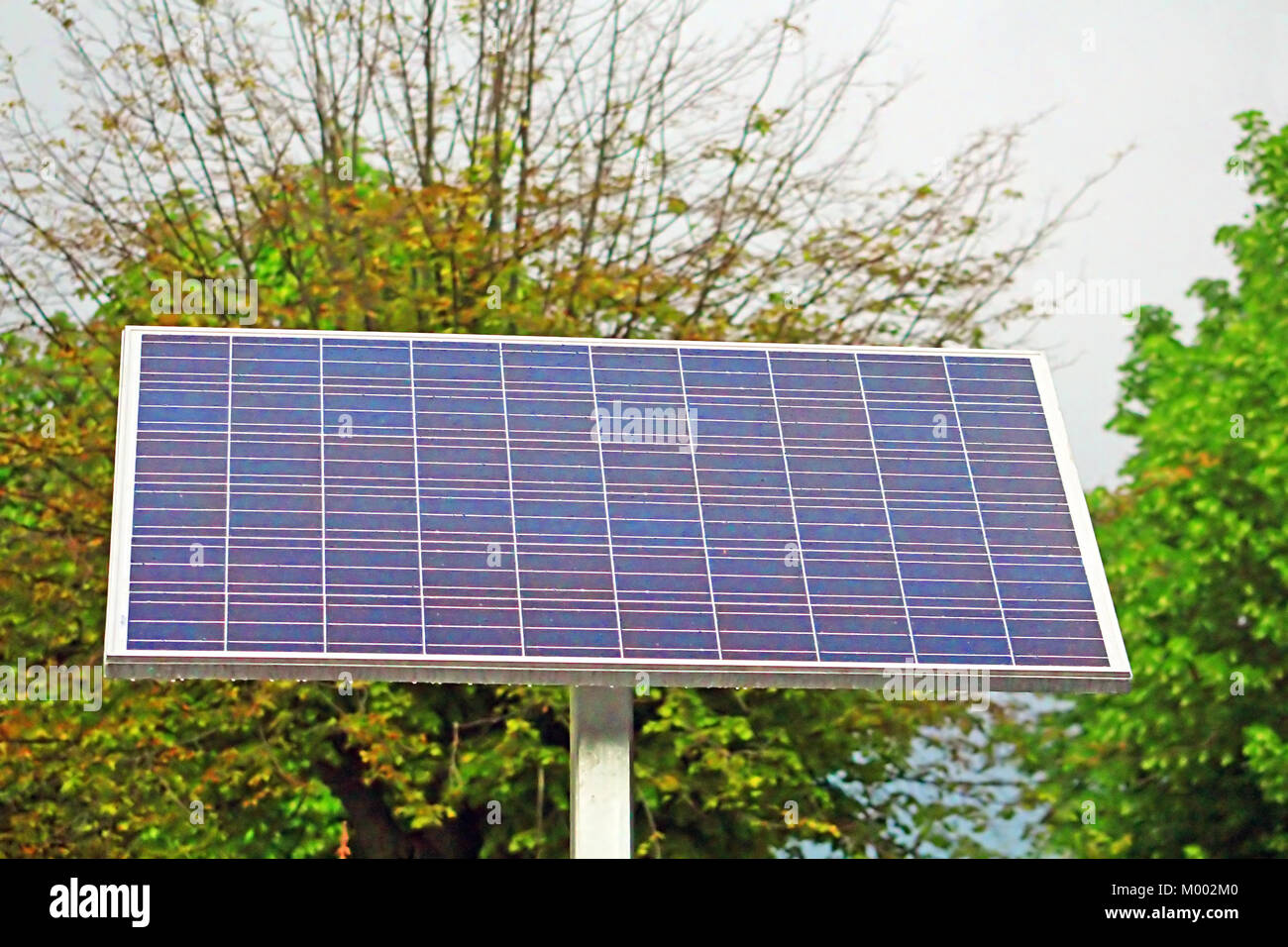 Solar battery with trees background Stock Photo - Alamy