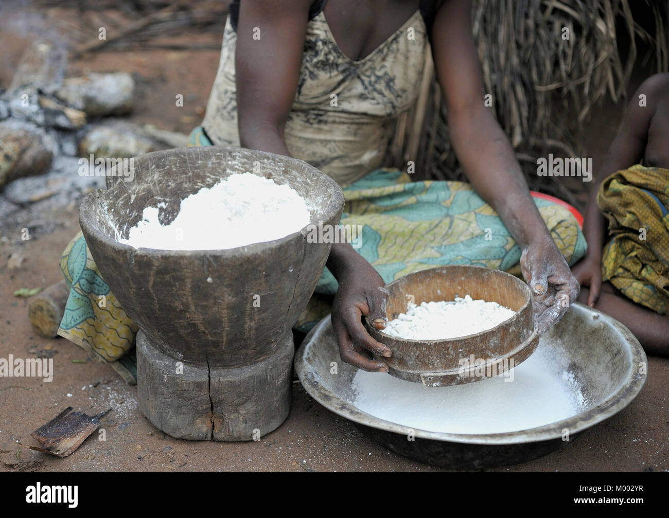 DZANGA-SANHA FOREST RESERVE, Africa. Jungle of the Central-African ...