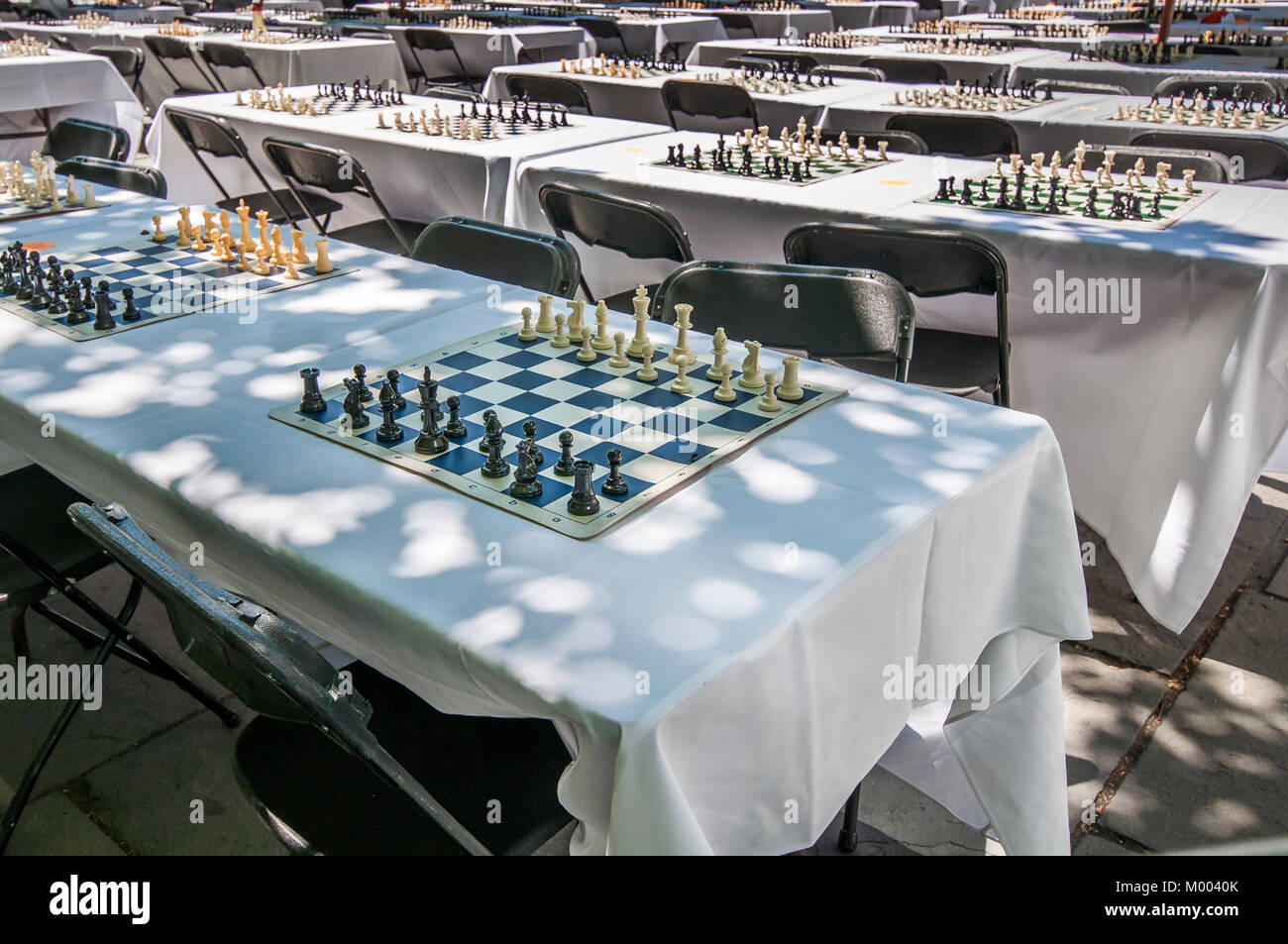 Numerous chessboards with black and white chess pieces are set up on ...