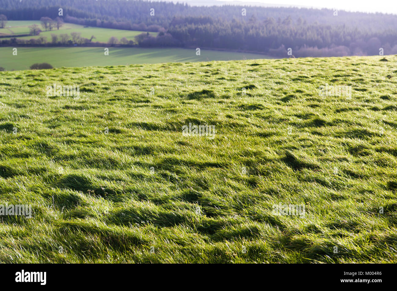 Coubtryside hi-res stock photography and images - Alamy