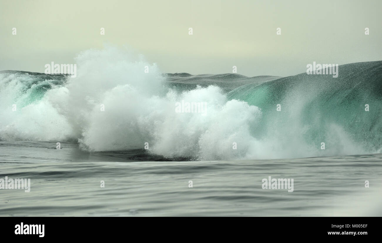 Powerful ocean wave breaking. Wave on the surface of the ocean. Wave ...