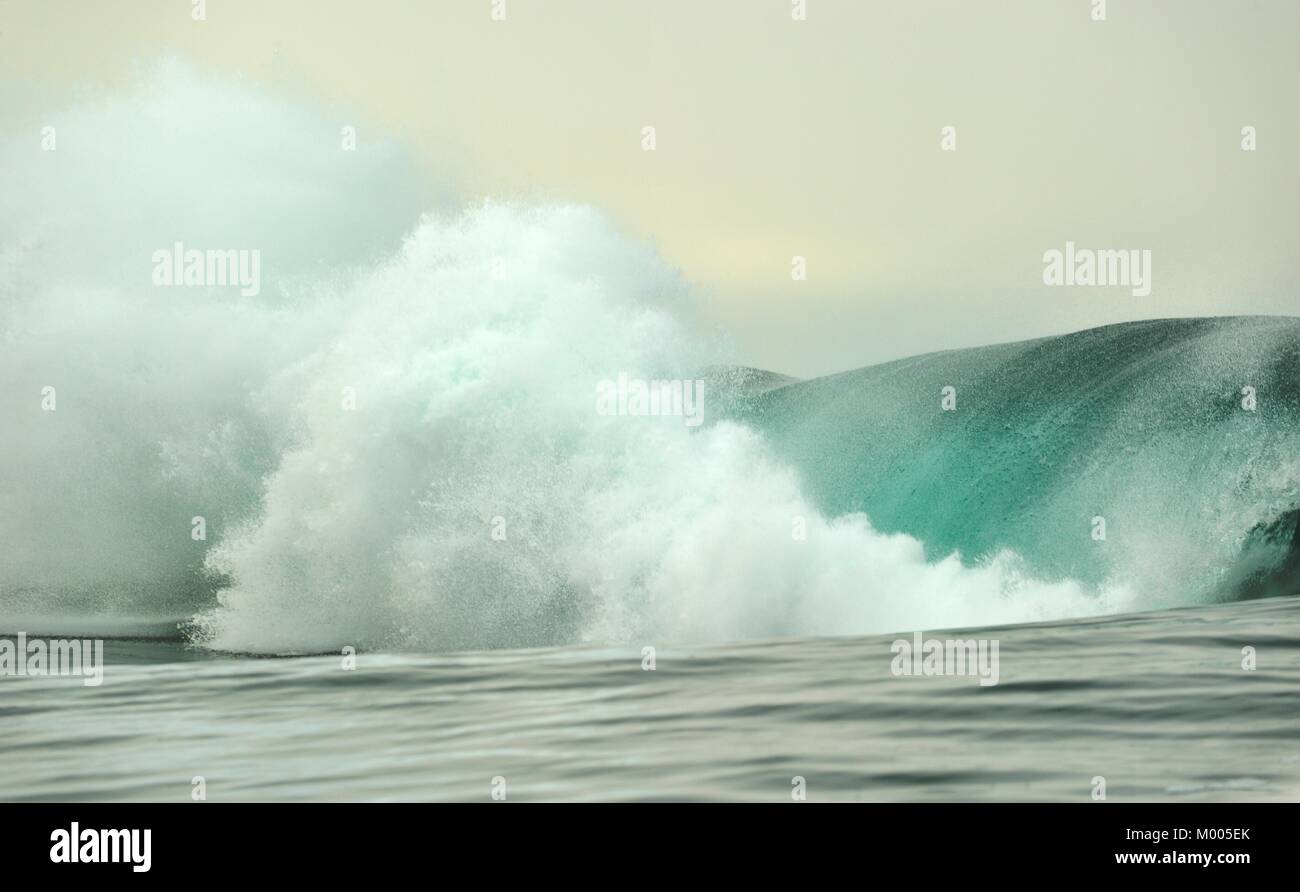 Powerful ocean wave breaking. Wave on the surface of the ocean. Wave ...
