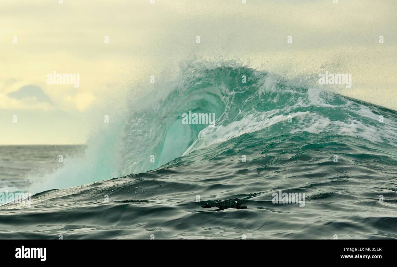 Powerful ocean wave breaking. Wave on the surface of the ocean. Wave ...