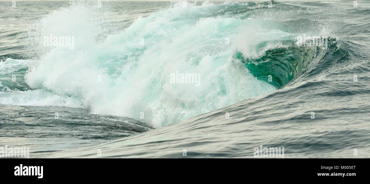 Powerful ocean wave breaking. Wave on the surface of the ocean. Wave ...
