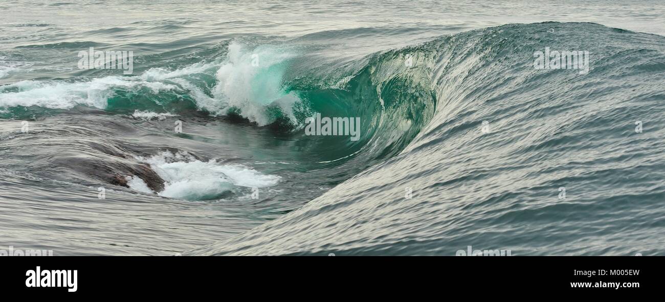 Powerful ocean wave breaking. Wave on the surface of the ocean. Wave ...