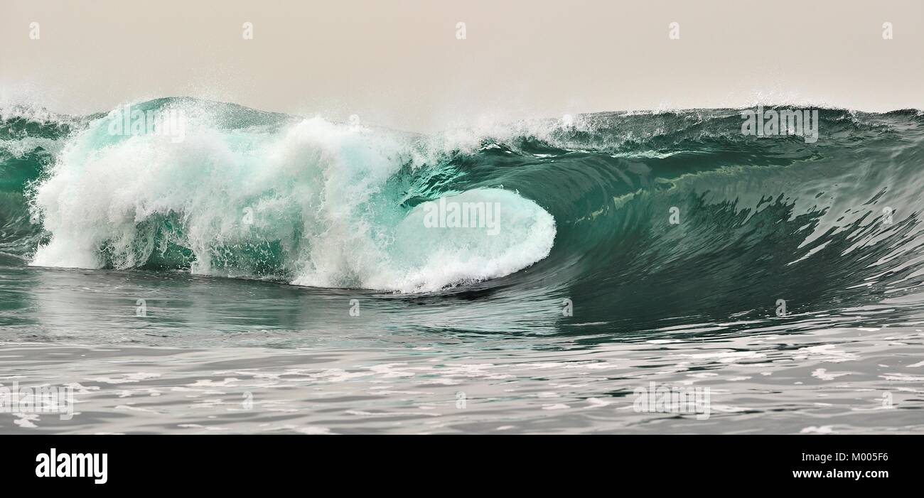 Powerful ocean wave breaking. Wave on the surface of the ocean. Wave ...