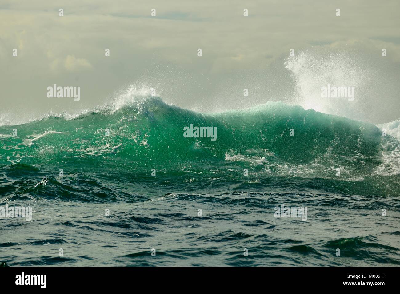 Powerful ocean wave breaking. Wave on the surface of the ocean. Wave ...