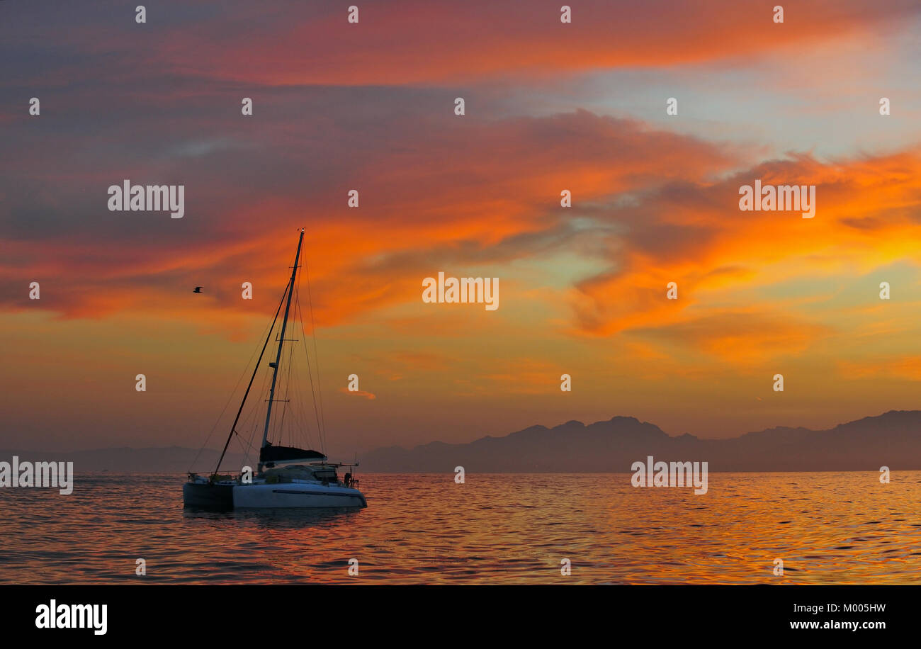 Sailing catamaran at the ocean at the coast of South Africa at early ...