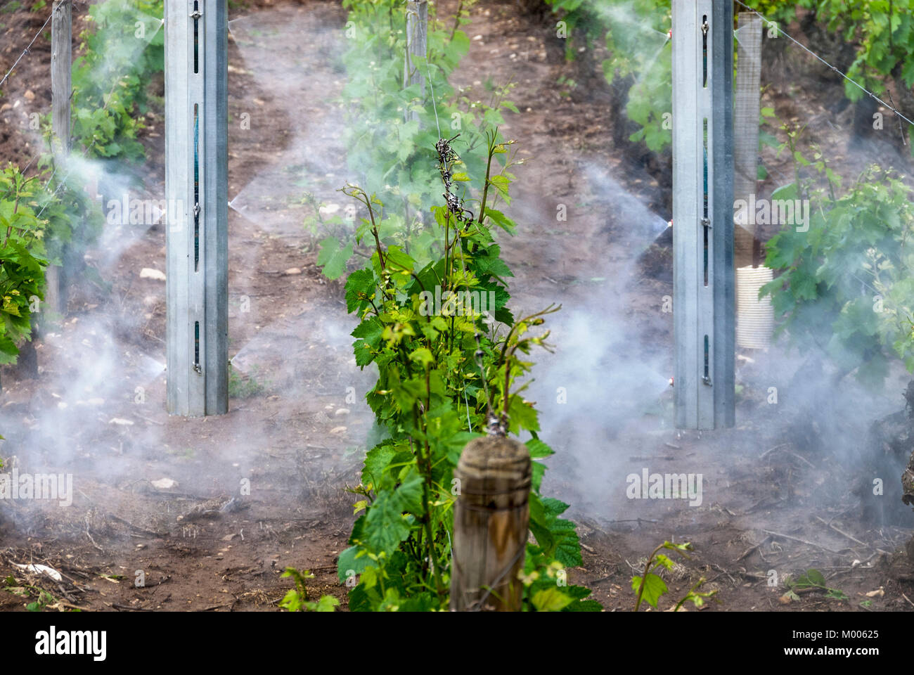 Spraying pesticide vineyard france hi-res stock photography and images - Alamy
