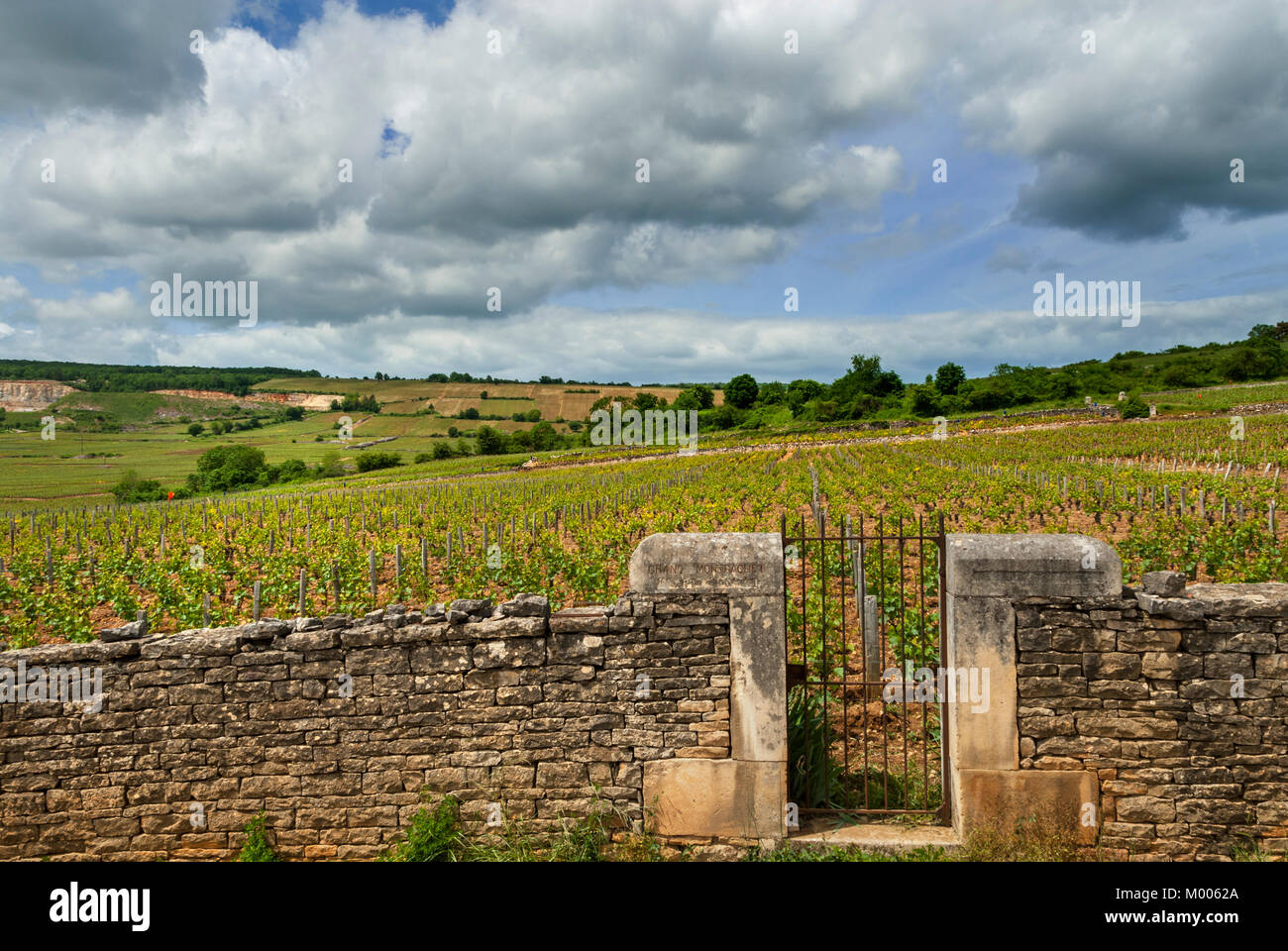 Chassagne Montrachet Vineyard Gate High Resolution Stock Photography ...