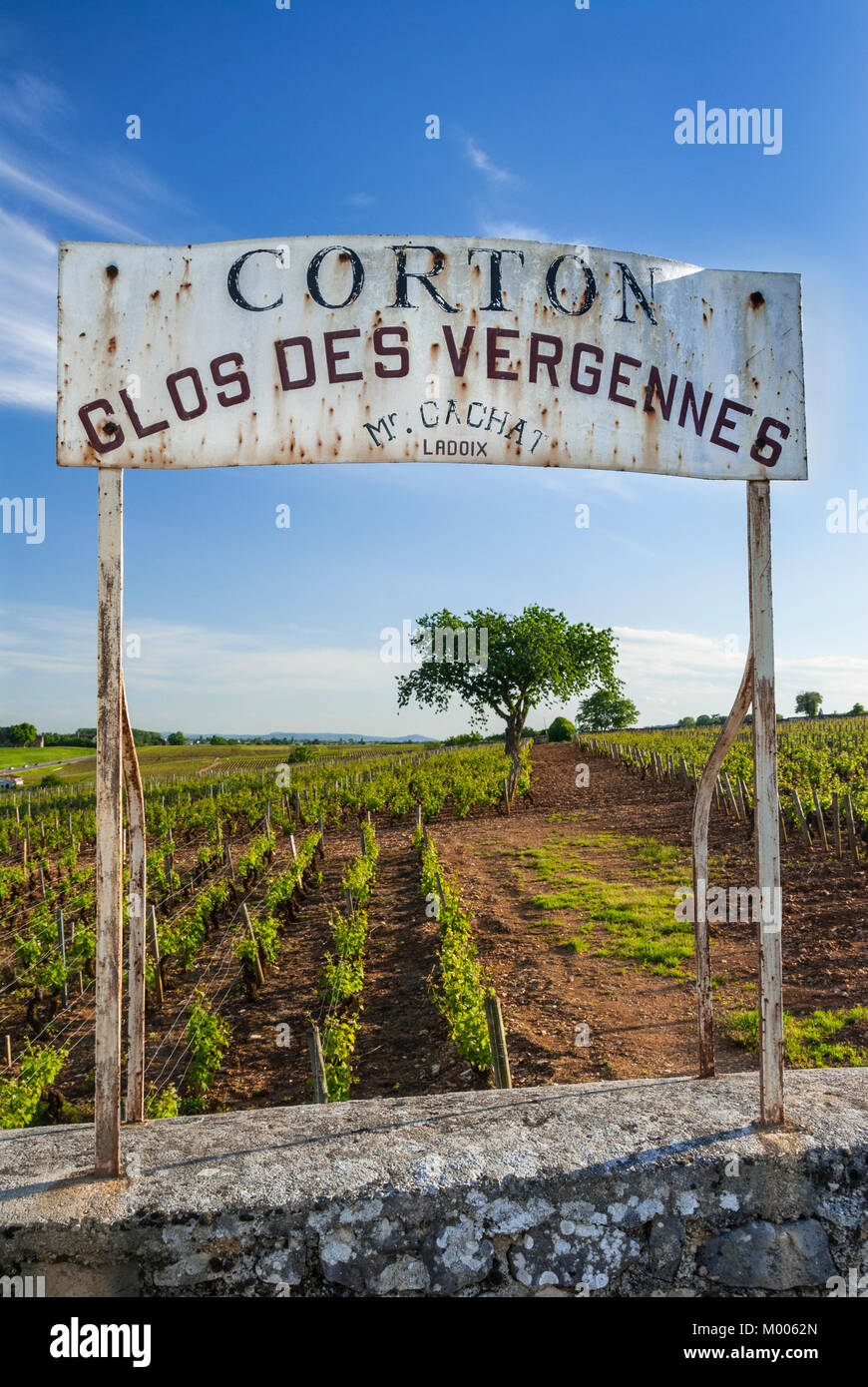 CORTON Clos des Vergennes rustic sign in Bourgogne vineyard landscape ...