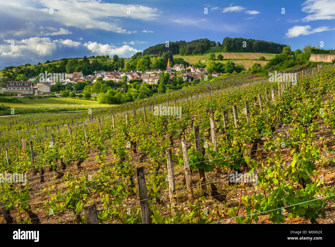 Pernand-Vergelesses Bourgogne wine village landscape set in its Premier ...