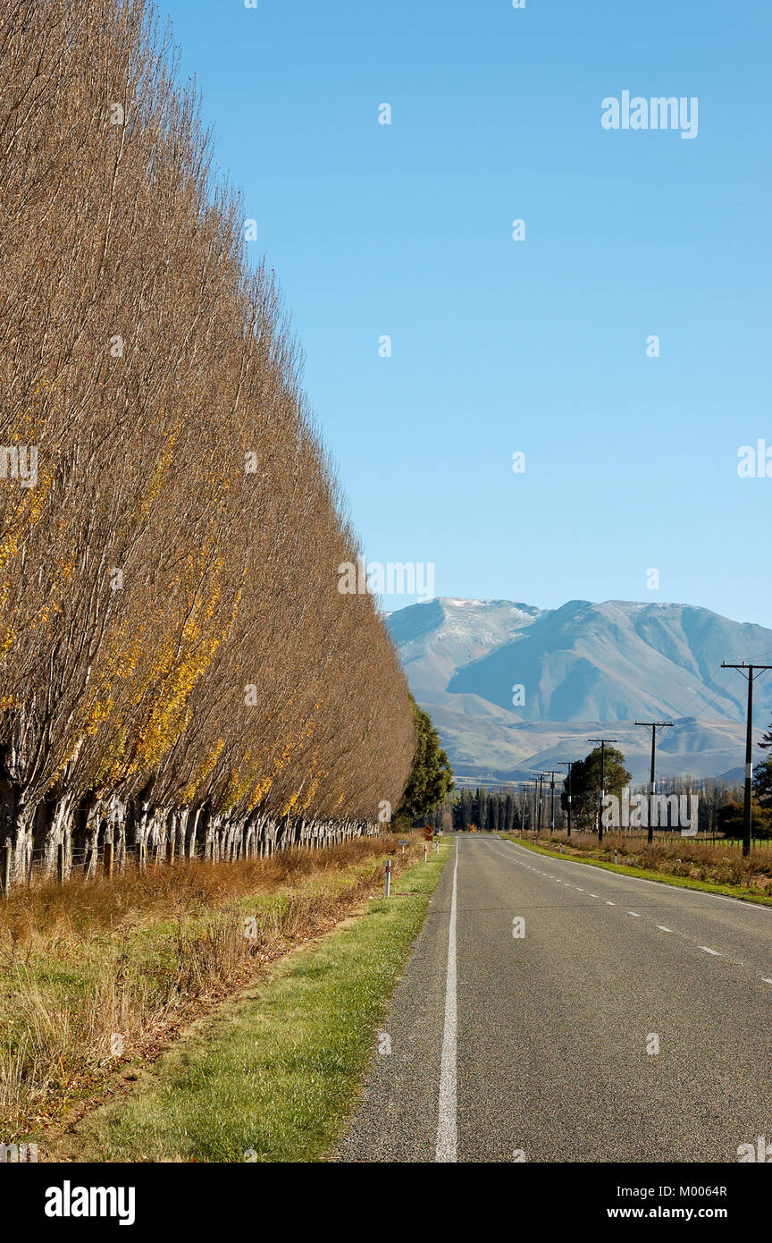 Otematata kurow hi-res stock photography and images - Alamy