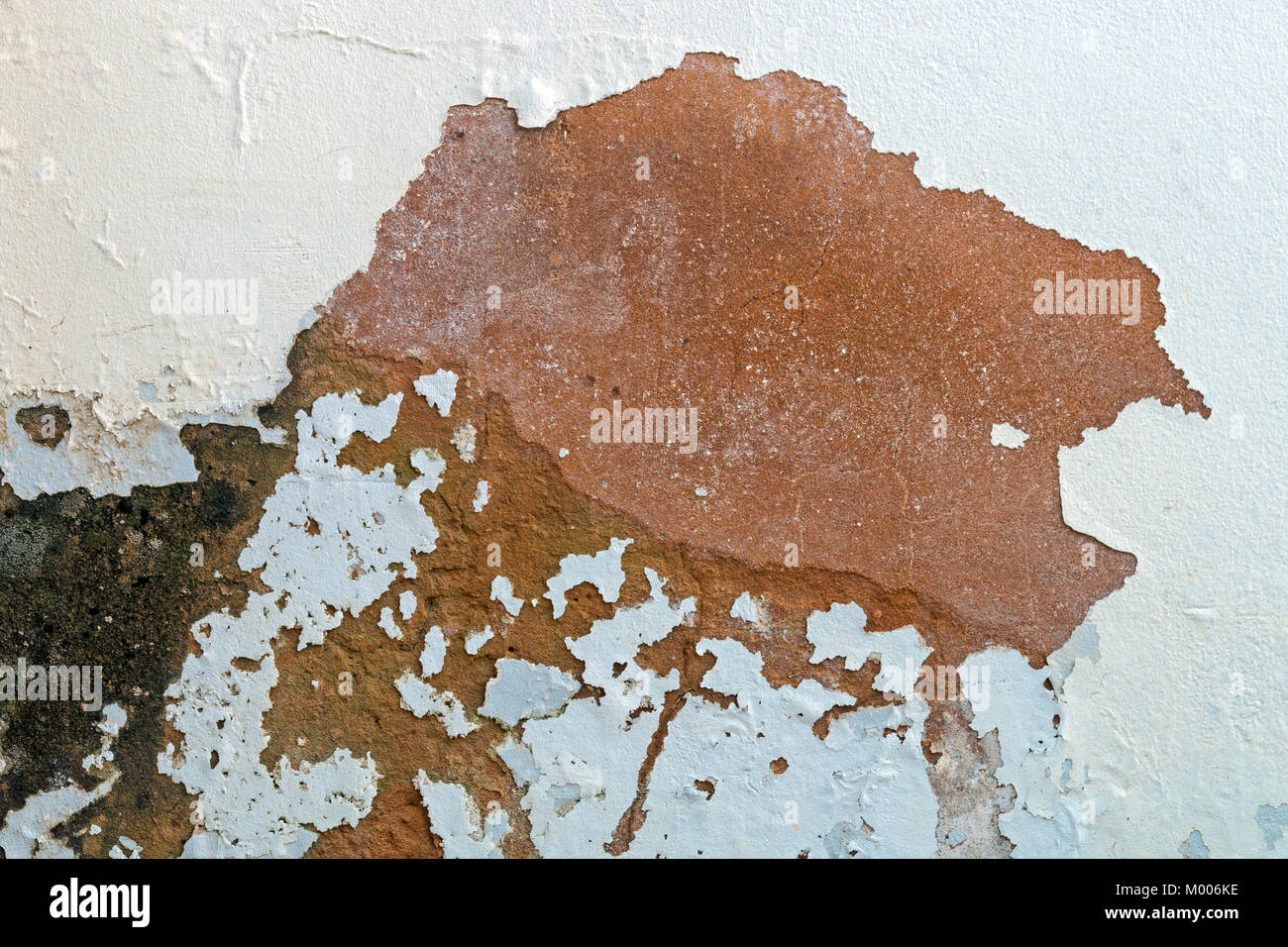 Rising damp hi-res stock photography and images - Alamy