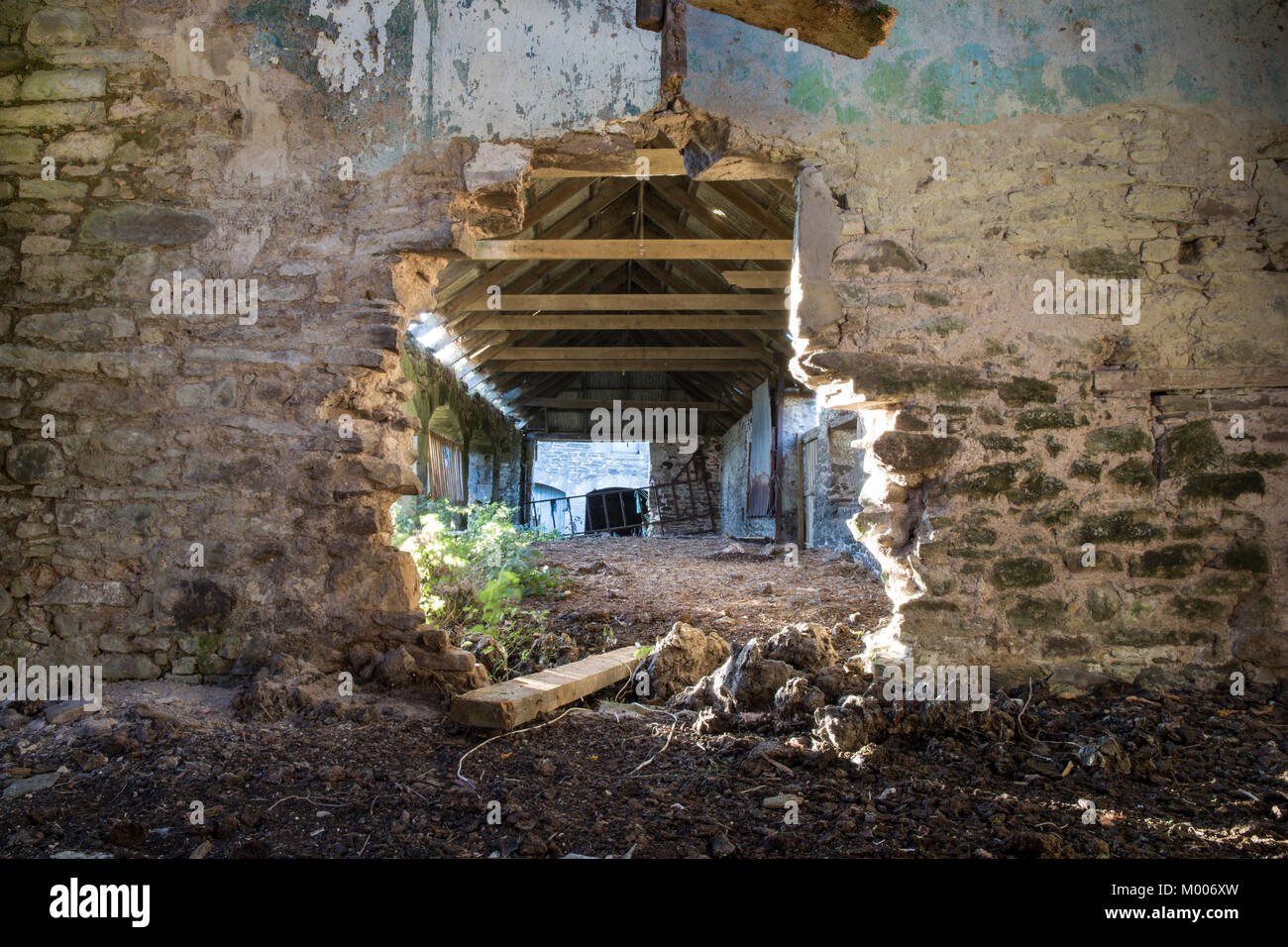 Exploring abandoned buildings hi-res stock photography and images - Alamy