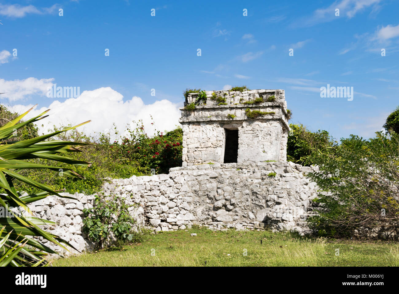 Archaegeological ruins in Tulum, Mexico. The ruins are situated on 12 ...