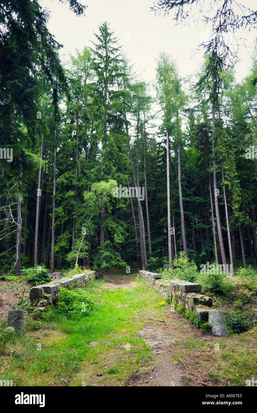 Path over stone bridge in forest, exploration travel adventure concept ...