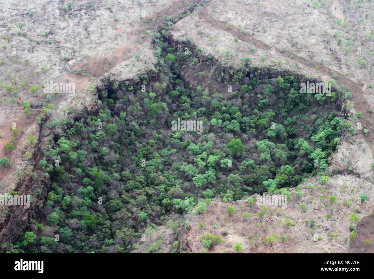 Densely vegetated hi-res stock photography and images - Alamy