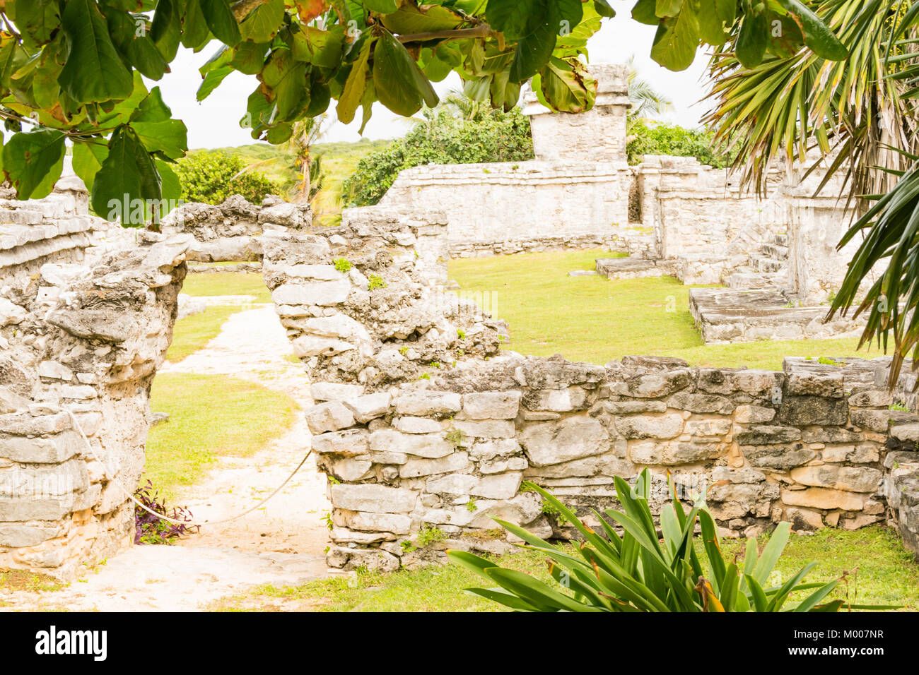 Archaegeological ruins in Tulum, Mexico. The ruins are situated on 12 ...