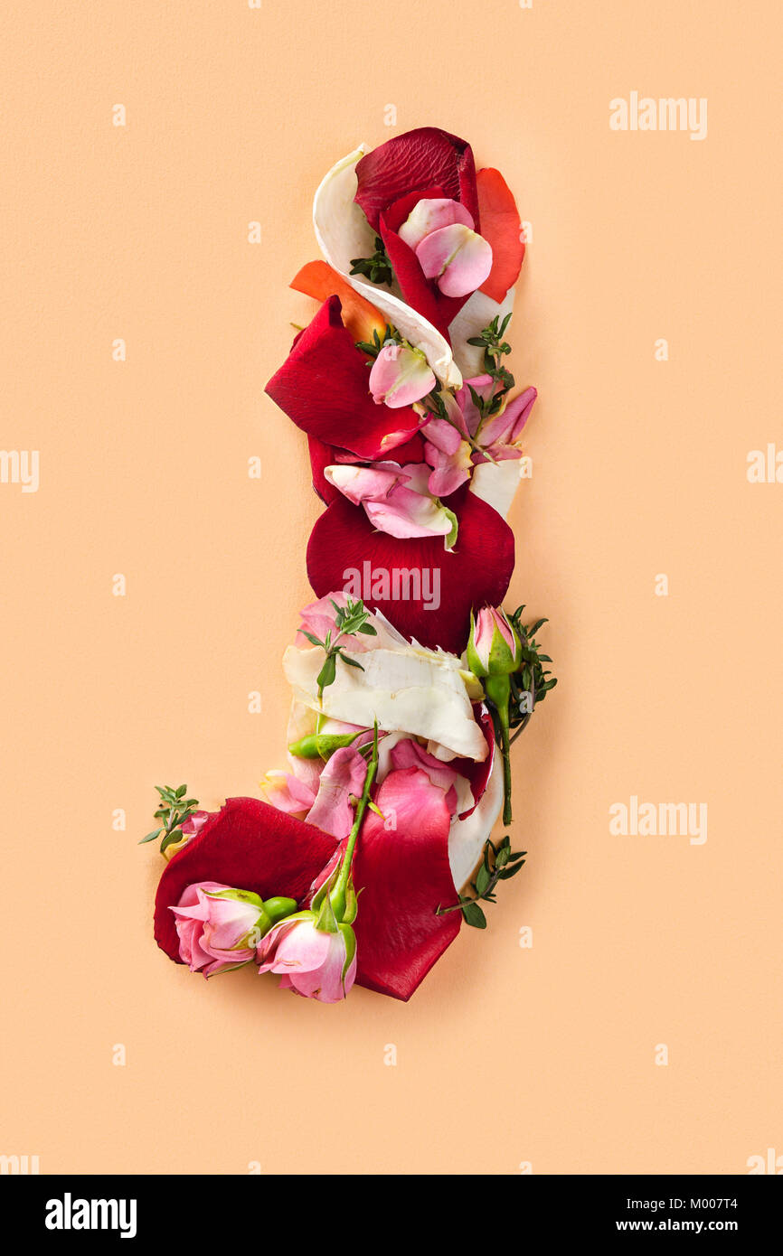 Letter J made from red roses and petals isolated on a white background ...