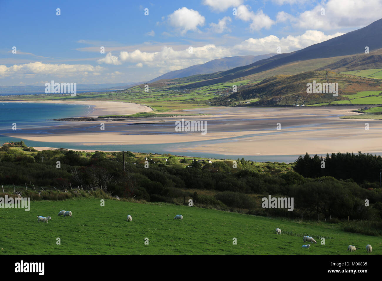 Aerial views of ocean, land, mountains of Ireland Stock Photo - Alamy