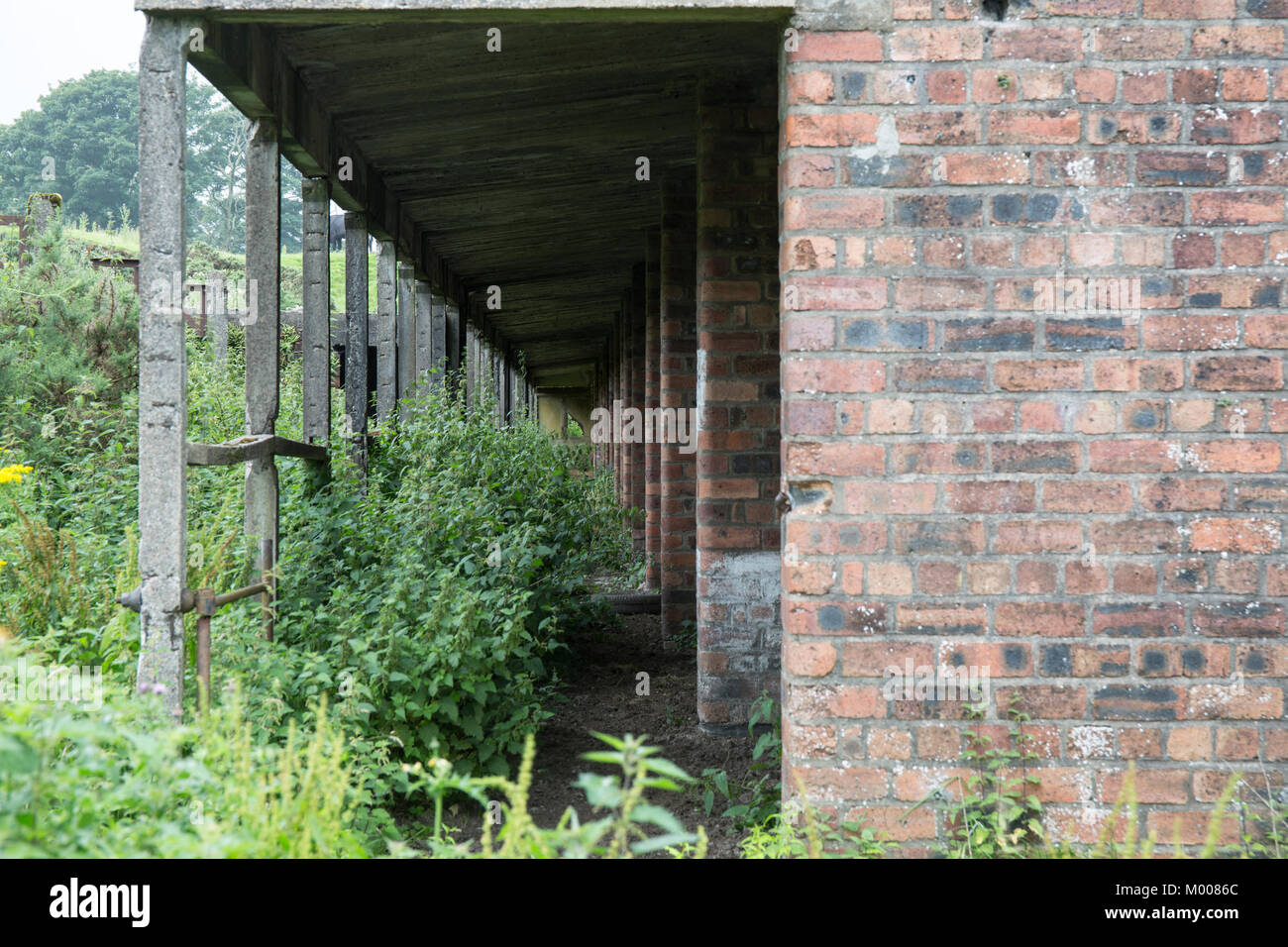 Rotting building bricks hi-res stock photography and images - Alamy