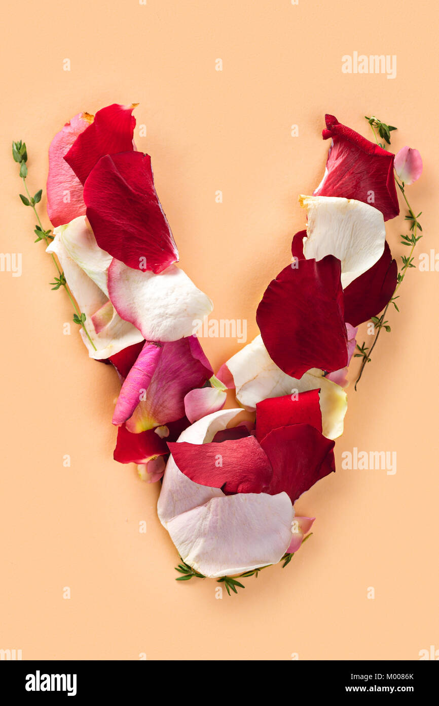 Letter V made from red roses and petals isolated on a white background ...