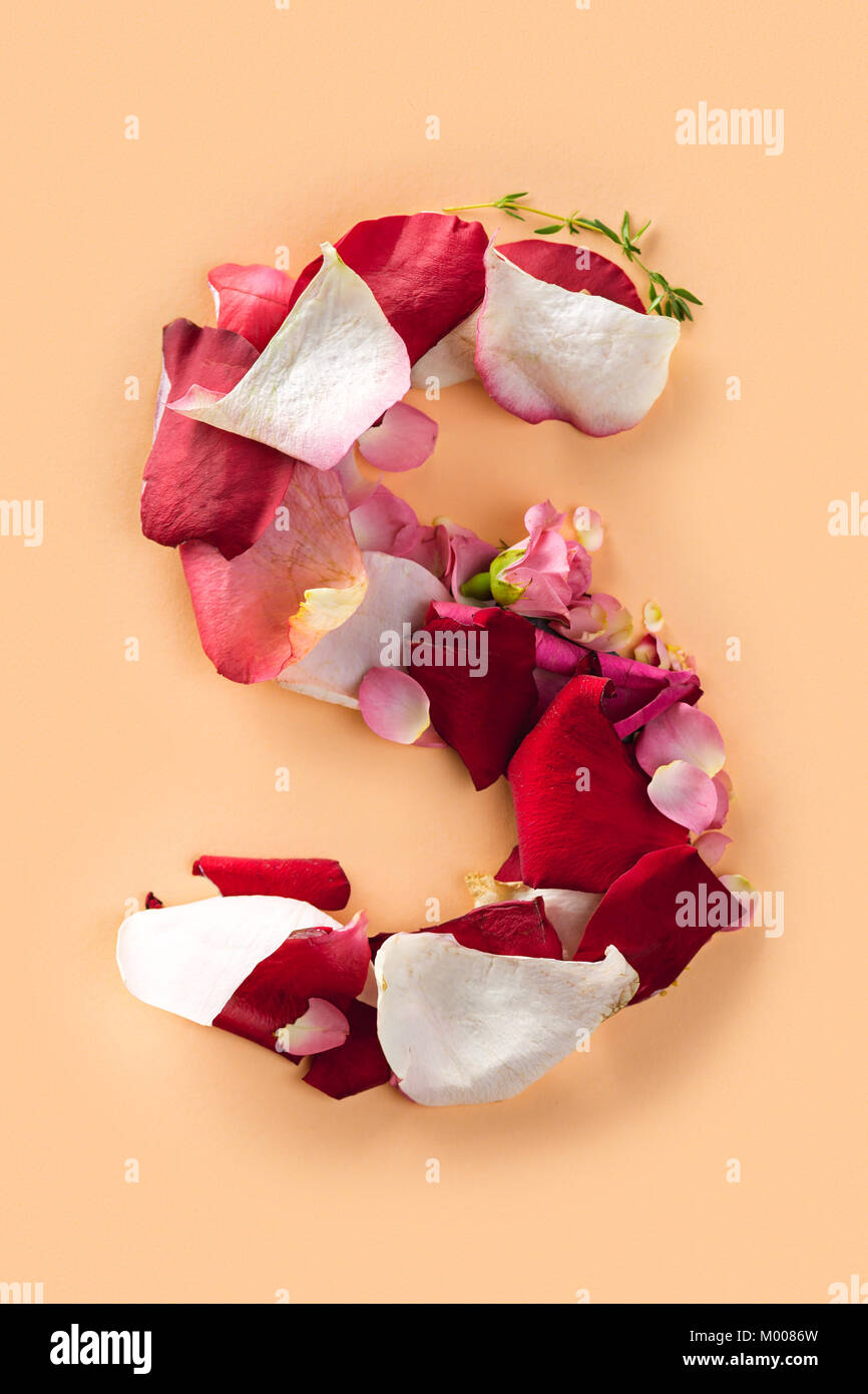 Floral font letter s hi-res stock photography and images - Alamy