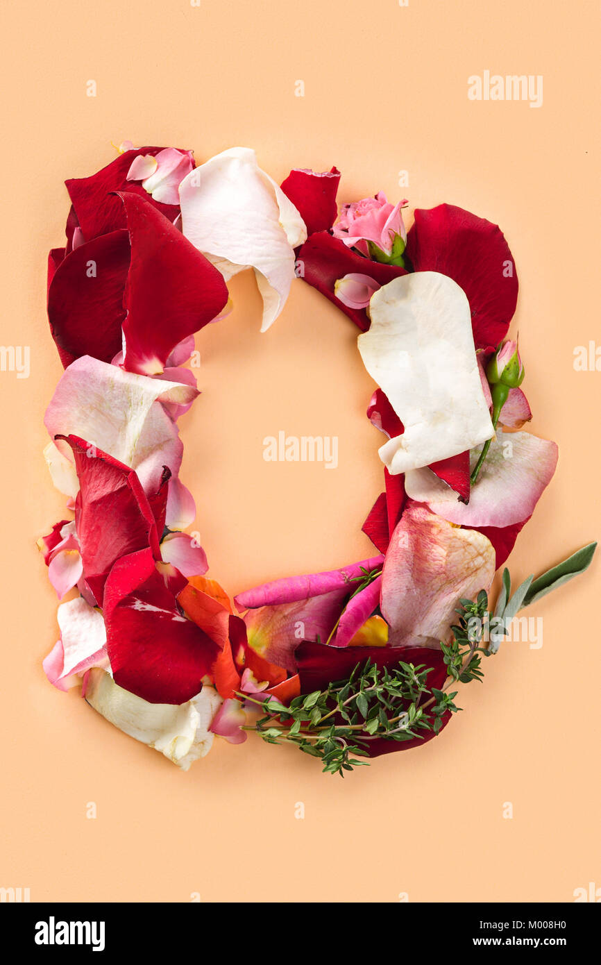 Letter D made from red roses and petals isolated on a white background ...