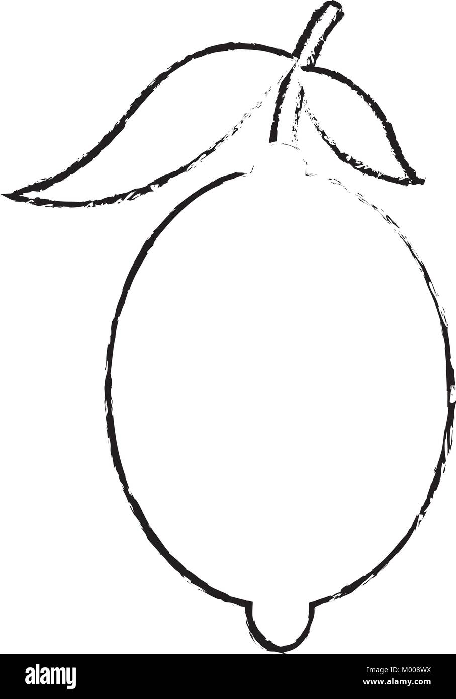 Whole lemon vector Black and White Stock Photos & Images - Alamy