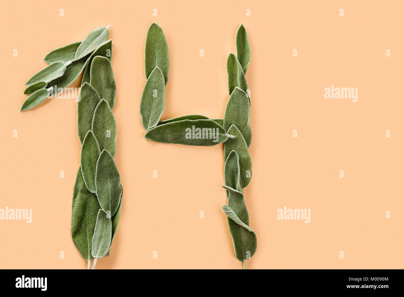 The number 14 made from green petals of sage Stock Photo - Alamy
