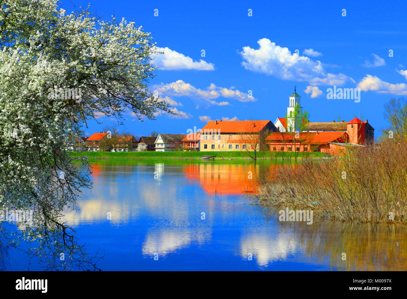 Spring landscape, Sava river and village on the coast, Nature park ...
