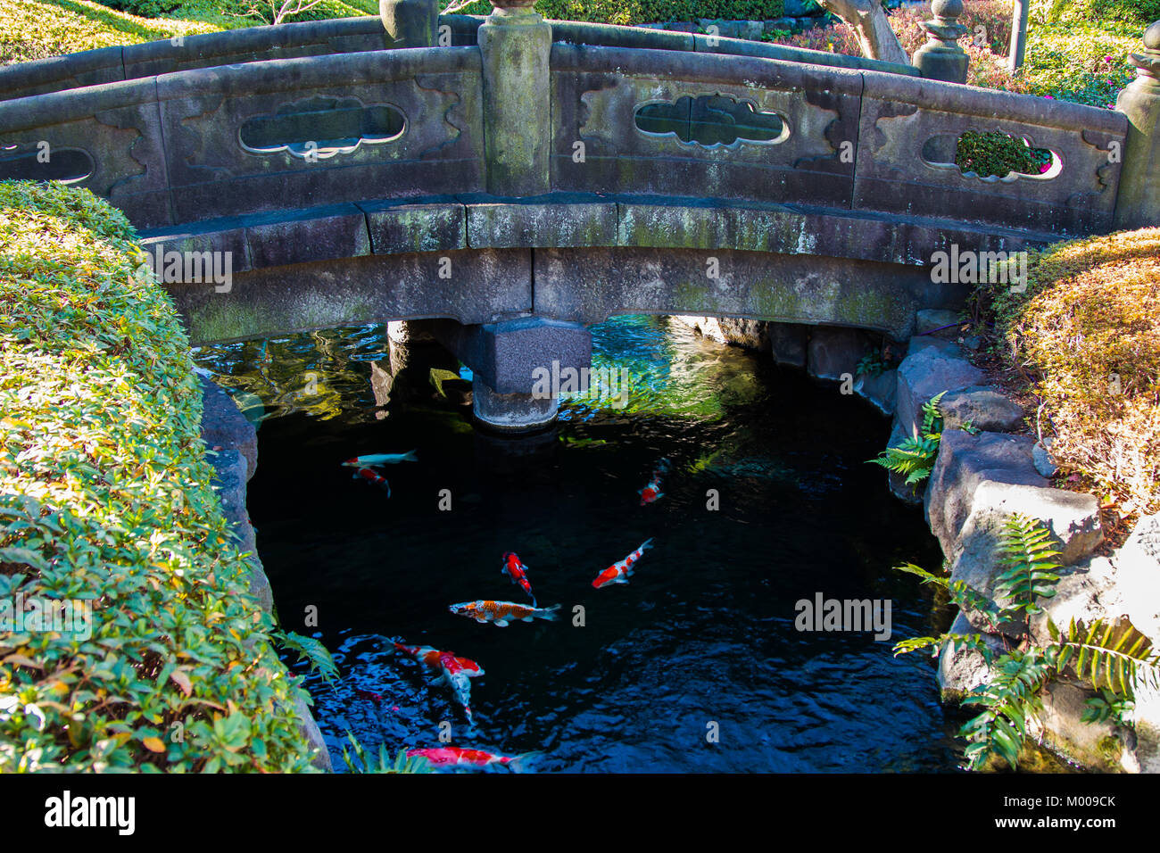 A stone bridge over a creek full of colorful koi fish Stock Photo - Alamy