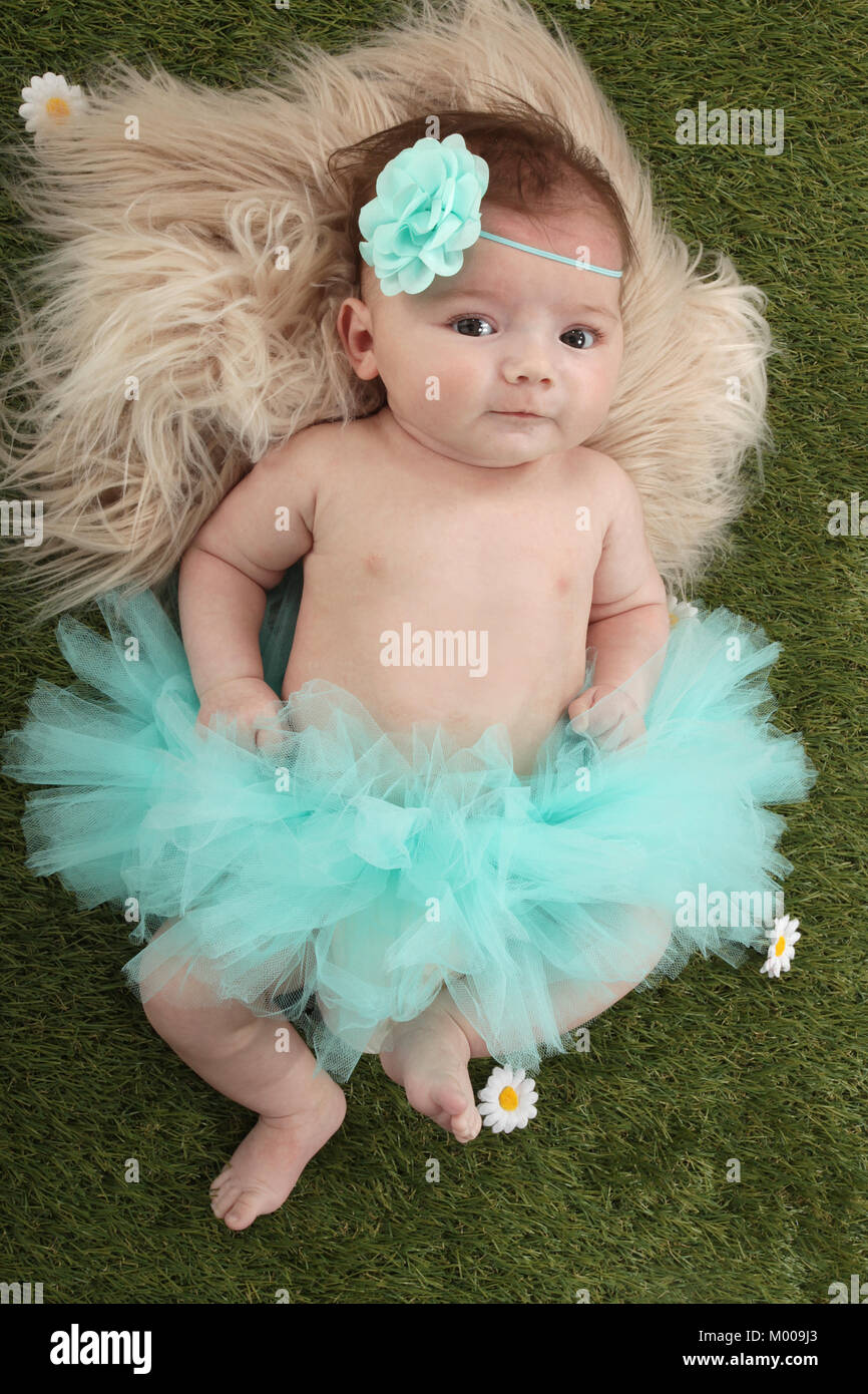 Minding the garden hi-res stock photography and images - Alamy