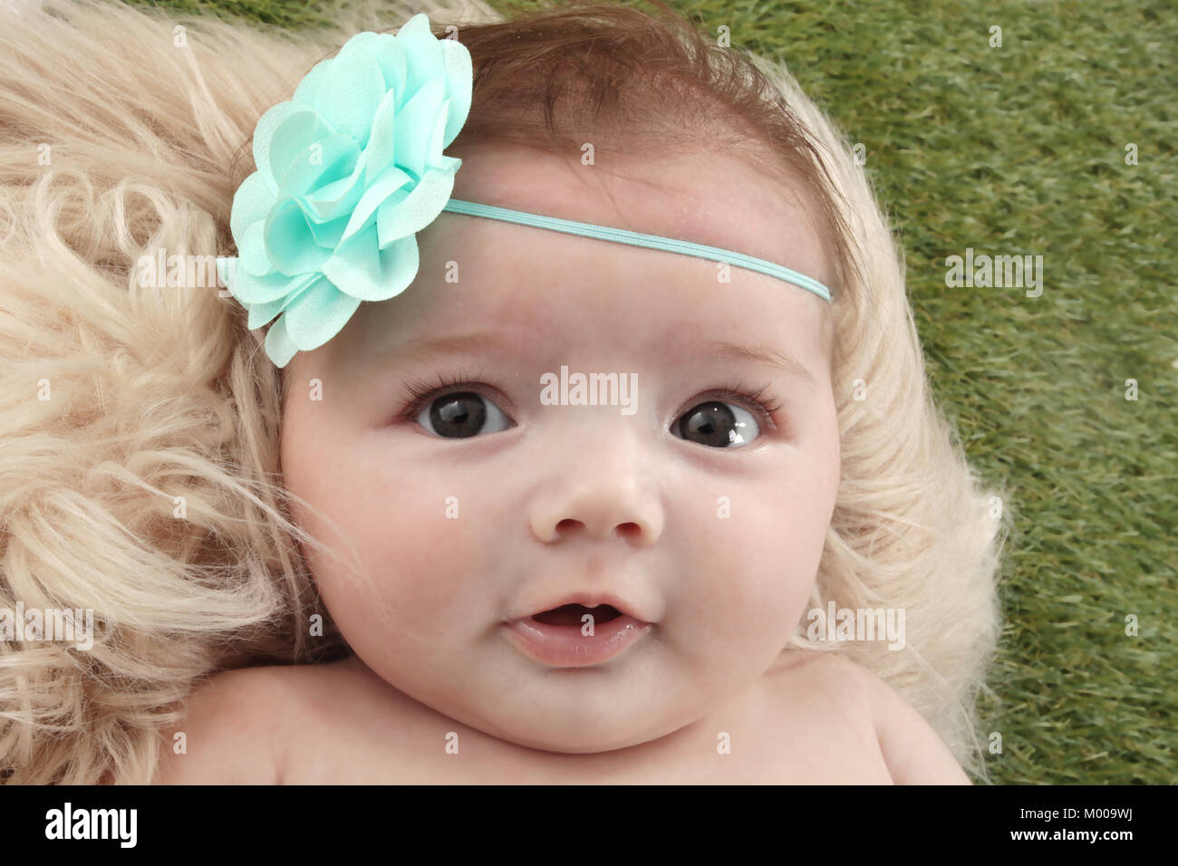 11 week old baby girl in tu-tu skirt relaxing on the grass Stock Photo ...