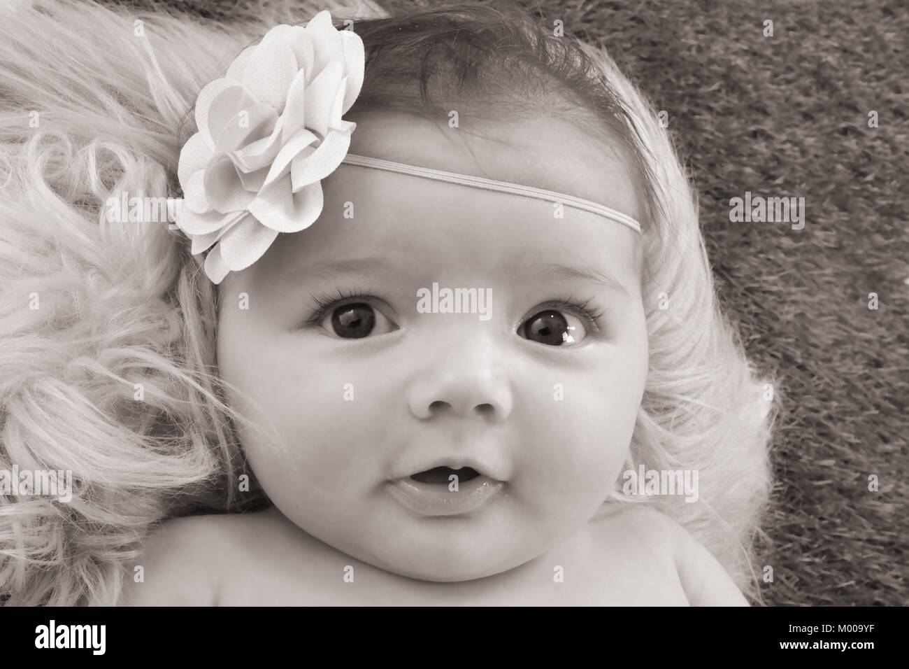 11 week old baby girl hi-res stock photography and images - Alamy