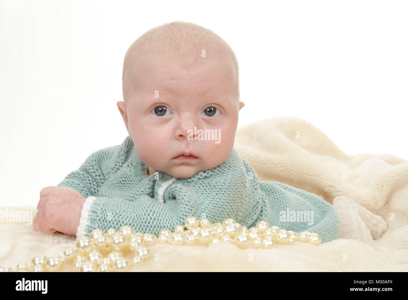 13 weeks old hi-res stock photography and images - Alamy