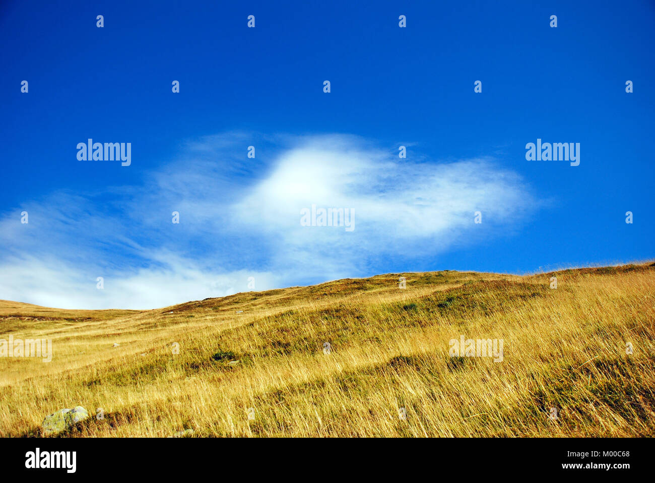 high altitude meadow Stock Photo - Alamy