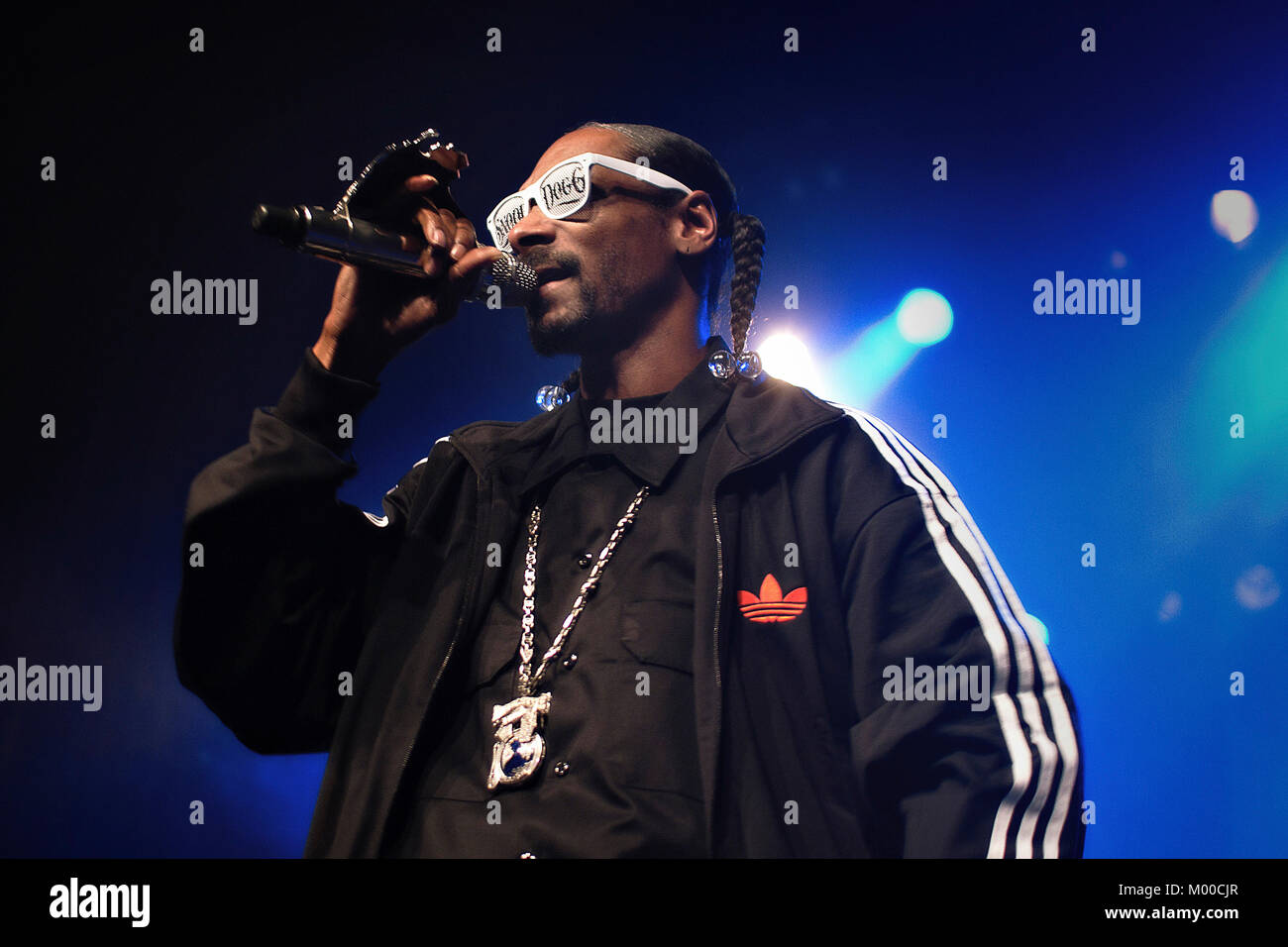 The American rapper, actor and entertainer Snoop Dogg (Snoop Lion ...