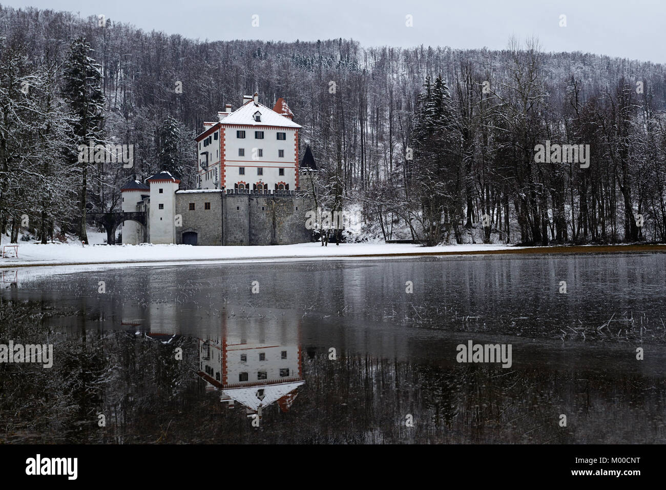 Old castle in winter with a reflection in the lake in snow covered ...
