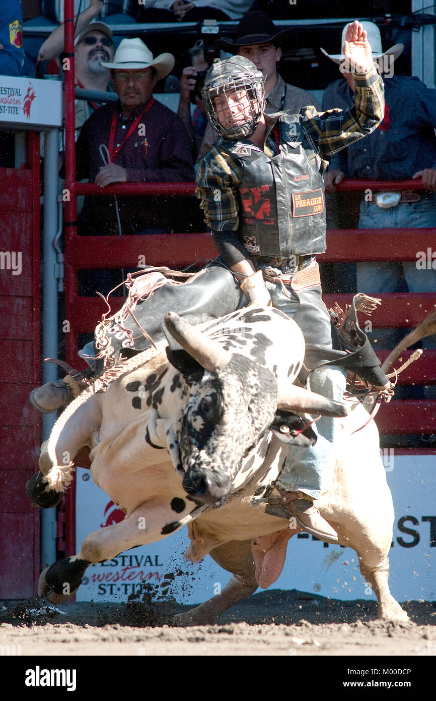 Bucking bull rodeo bulls cowboy cowboys chaps cowboy hats wild hi-res ...