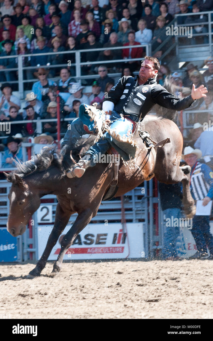 Saddle bronc riding hi-res stock photography and images - Alamy