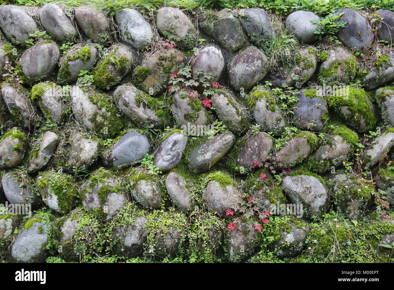 Stone wall with moss background Stock Photo - Alamy