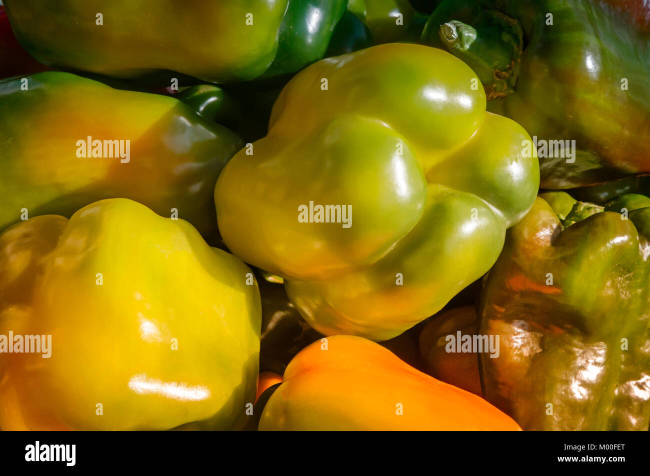 Large fruit ripe yellow pepper. Presents closeup Stock Photo - Alamy